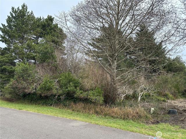 204 Muskrat Ct SW, Ocean Shores, WA 98569 | MLS #2502 | Compass