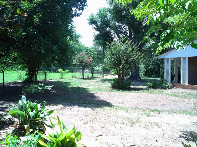 204 Sycamore Drive