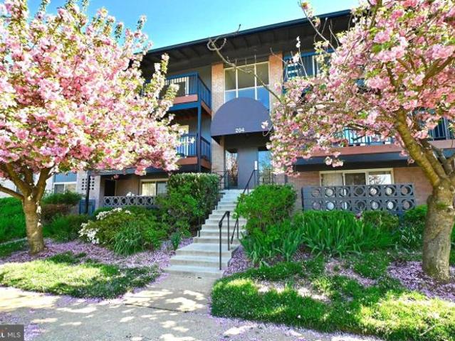 204 Park Terrace Ct SE #30, Vienna, VA 22180
