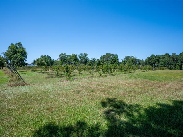 20545 Farm to Market 92 S