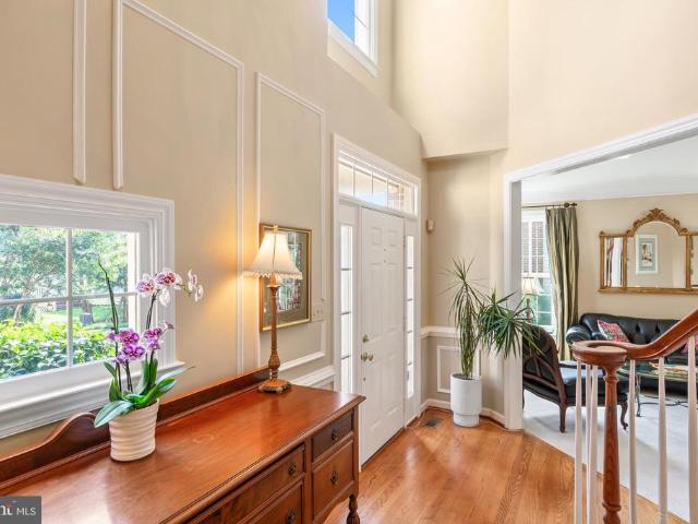 20548 Tidewater