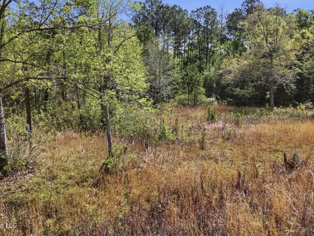 20548 Highway 43, Picayune, MS 39466 | MLS #4144 | Compass