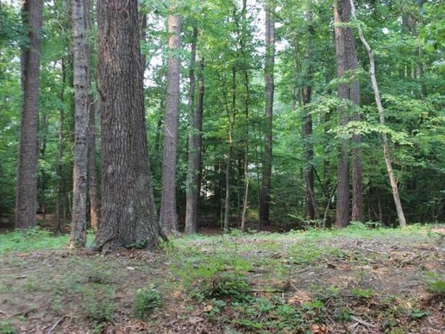 2056 Neptune Ct Lot 2056, Greenbackville, VA 23356