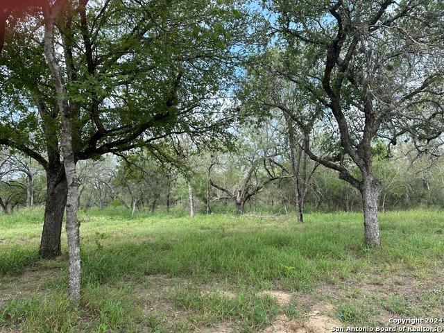 20594 S State Highway 16