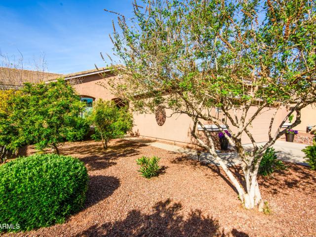 20598 n lemon drop drive