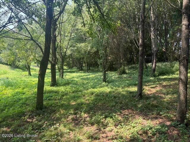 2051 Chaplin Taylorsville Rd