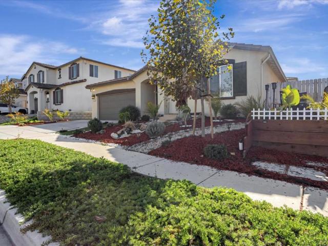 2051 Rosewood Drive