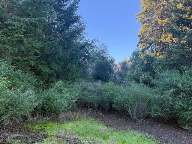 20525 Iron Springs Road