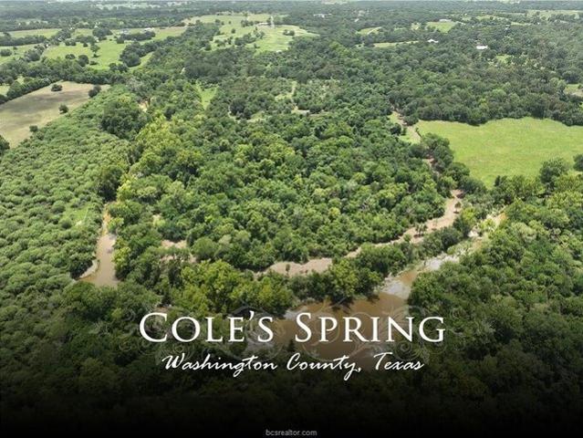 20525 Pickens Rd, Washington, TX 77880