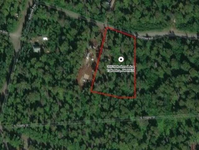 20528 E Rodnreel Ave, Willow, AK 99688