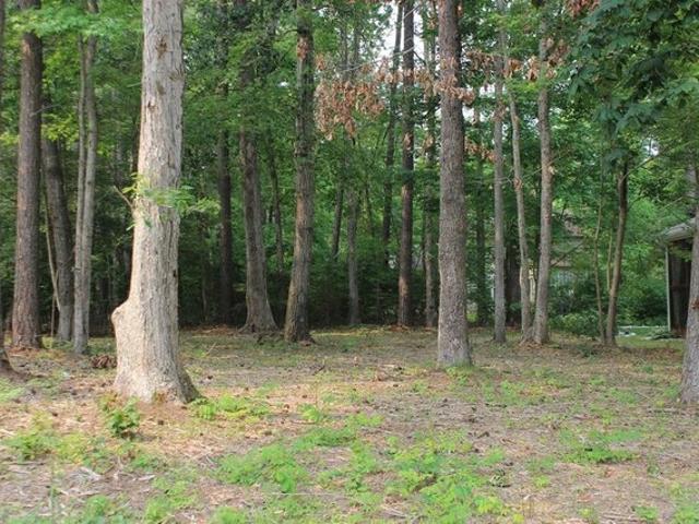 2052 Neptune Ct Lot 2052, Greenbackville, VA 23356