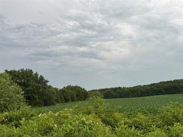 205th St and 125th Ave, Grand River, IA 50144