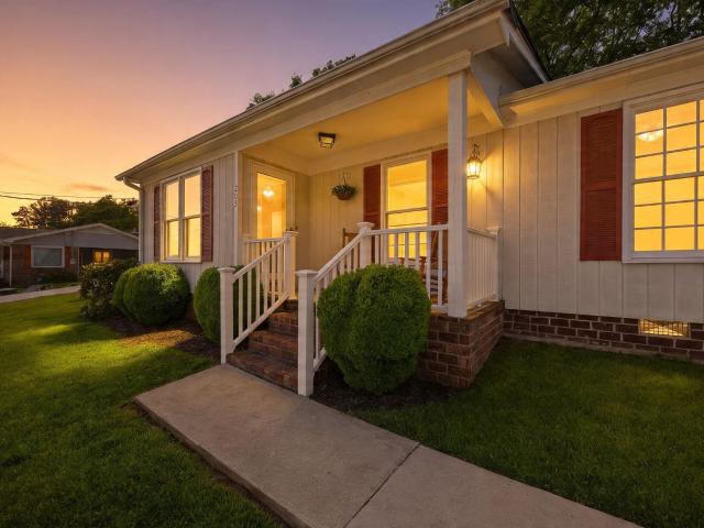 205 Cone Drive