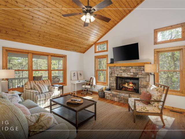 205 Blue Stone Trail