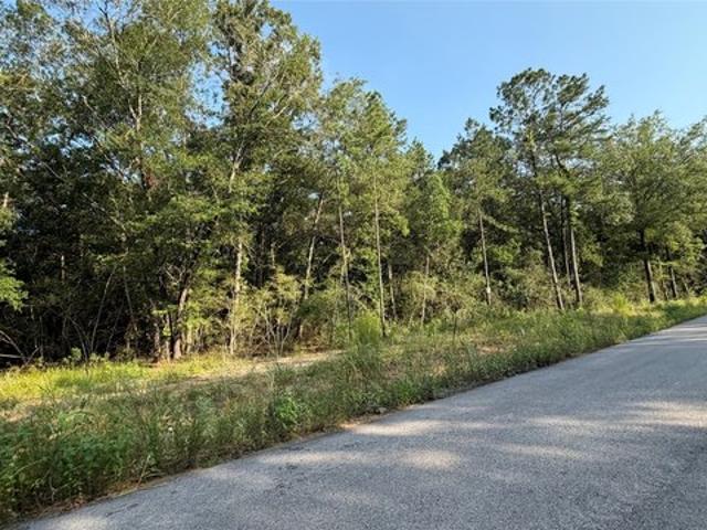 205 Kings Ct, Dayton, TX 77535