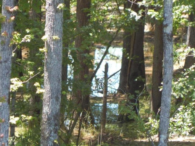 205 Hugh White State Park Road