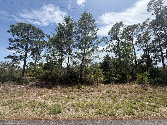 205 Islamorada St NE, Lake Placid, FL 33852