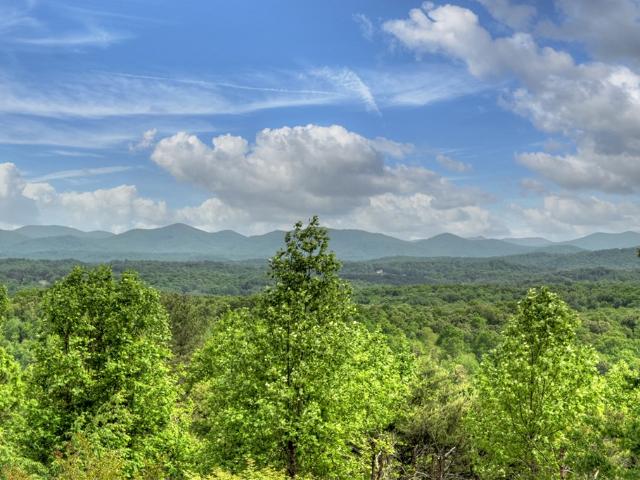 205 Lookout Dr, Blue Ridge, GA 30513 | MLS #430236