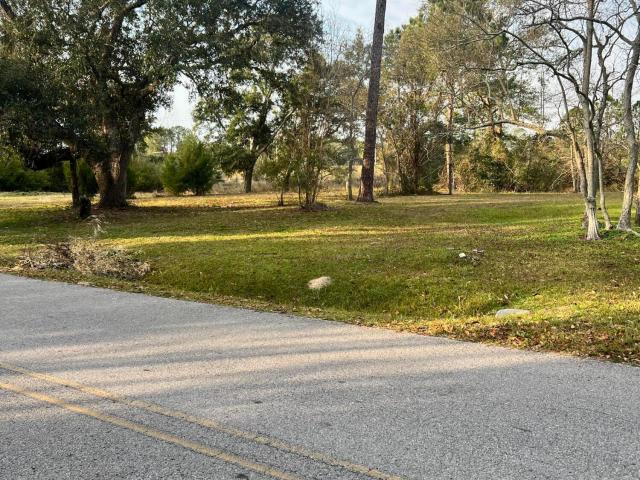 205 Livingston Drive