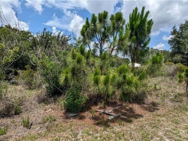 205 Liberty Dr NE, Lake Placid, FL 33852