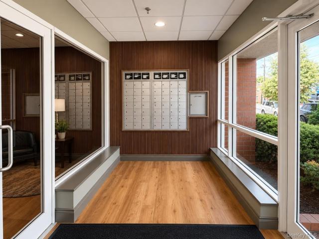 205 Mineola Boulevard