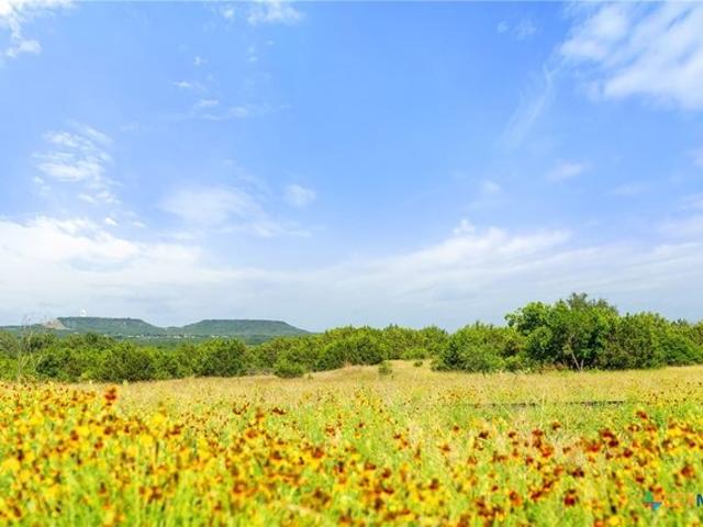 205 Private Road 4968 Lot 5, Kempner, TX 76539