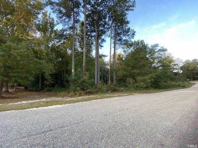 205 Teresa Ct, Angier, NC 27501