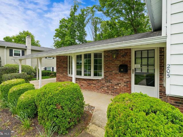 205 Tulip Drive