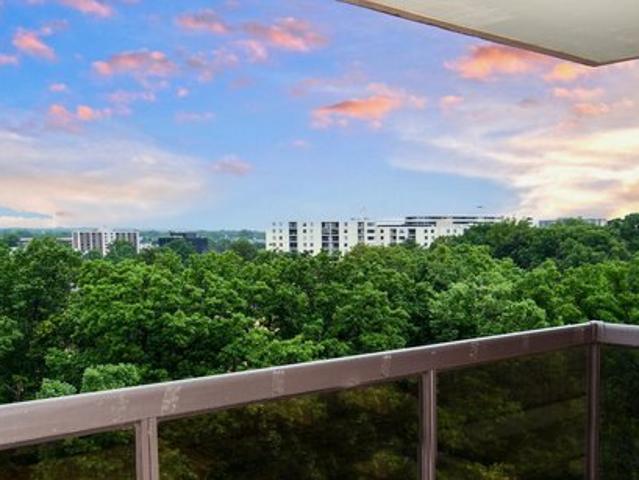 205 Yoakum Pkwy Unit 1224, Alexandria, VA 22304