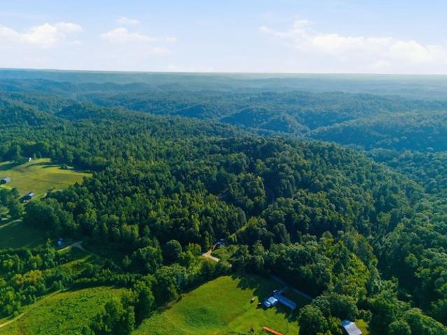 2065 Abner Flat Rd, Beattyville, KY 41311