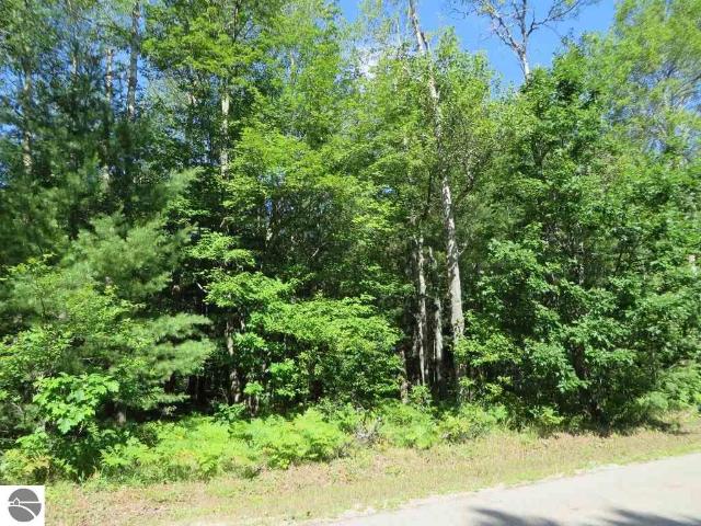 2065 E Log Lake Road
