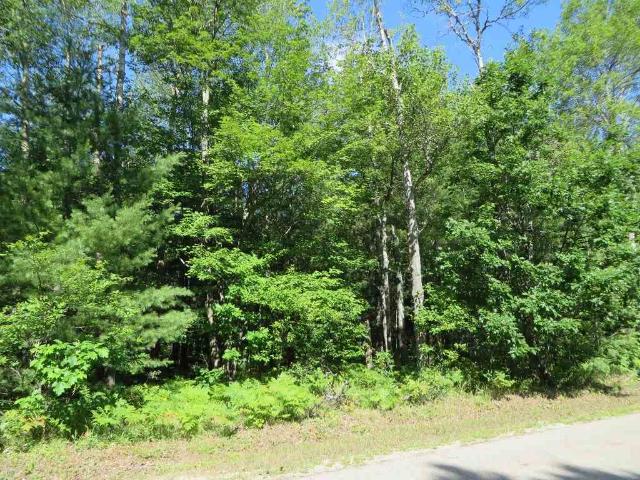 2065 E Log Lake Road # Lot 30