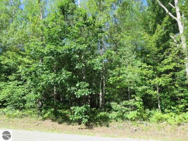 2065 E Log Lake Rd Lot 30, Kalkaska, MI 49646