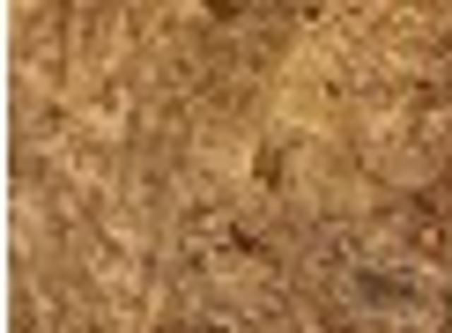 2066 S Highway 569, Liberty, MS 39645 [Updated 1/7]