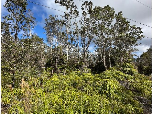 2068 Mokuna St, Pahoa, HI 96778 | MLS #717031 | Compass
