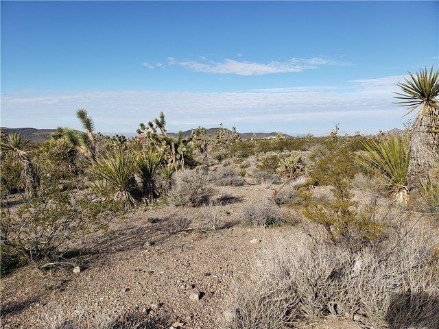 20699 and 20715 N Silver Eagle Dr, White Hills, AZ 86445