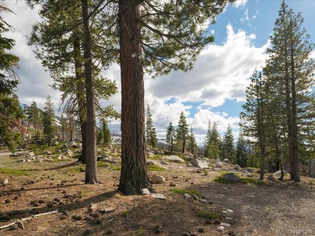 2060 Huckleberry Rd, Twin Bridges, CA 95735 | MLS #142801 | Compass