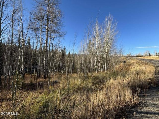 2060 Pioneer Trail, Fraser, CO 80442 | MLS #25 77