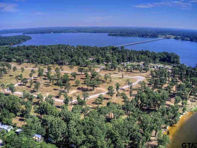 20625 Wycliff Dr, Chandler, TX 75758 | MLS #24010