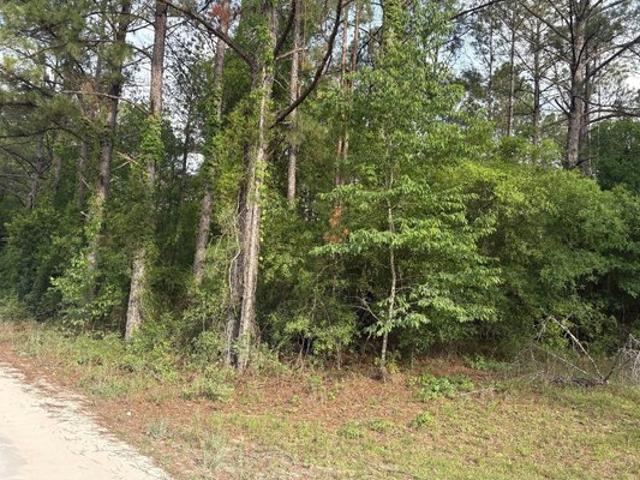 206th Ter, Wellborn, FL 32094