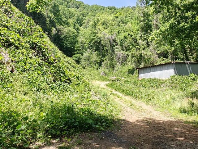 206 Caney Creek Rd