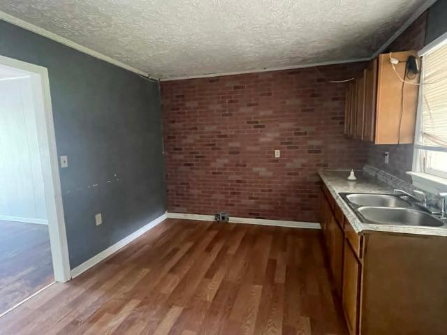 206 Celia Drive