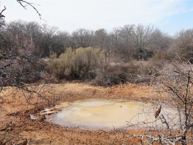 206 Cisco, TX 76437 | MLS #21166
