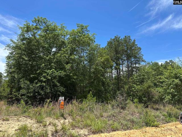 206 Bub Wise Road Lot 6