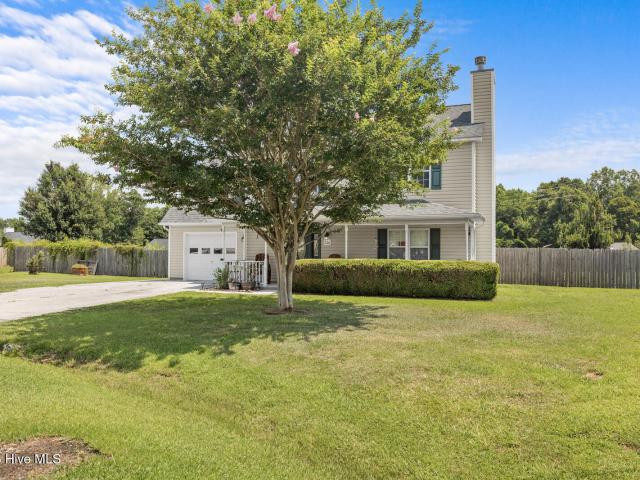 206 Buff Court