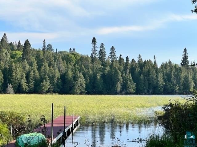 206 E Deeryard Rd, Grand Marais, MN 55604
