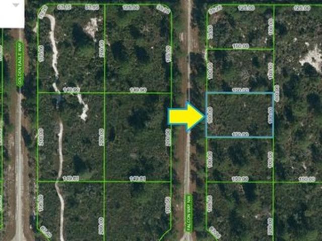 206 Falcon Way, Lake Placid, FL 33852
