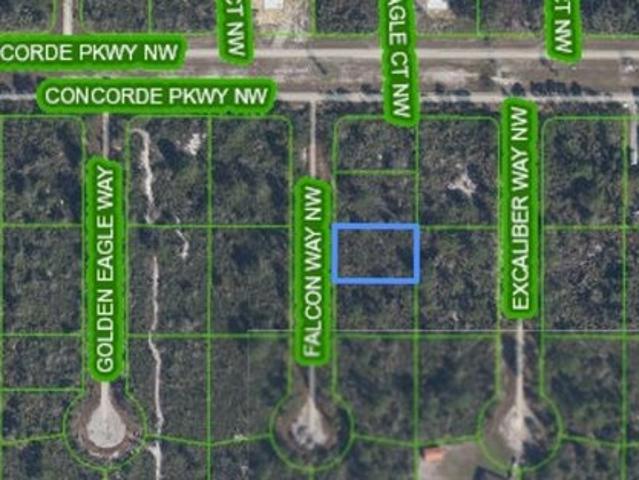 206 Falcon Way NW, Lake Placid, FL 33852
