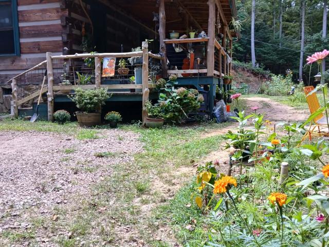 206 Old smoky gap road