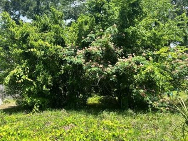 206 NE 13th Ave, Chiefland, FL 32626